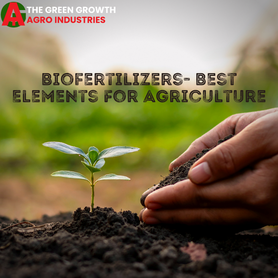 Biofertilizers – THE GREEN GROWTH AGRO INDUSTRIES